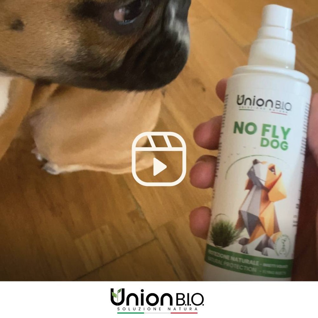 Union B.I.O. a Spoga Horse 2024 - Union B.I.O.