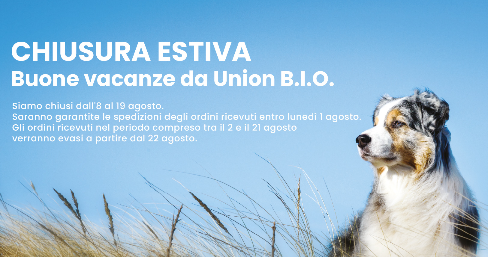 Home Unionbio - Union BIO